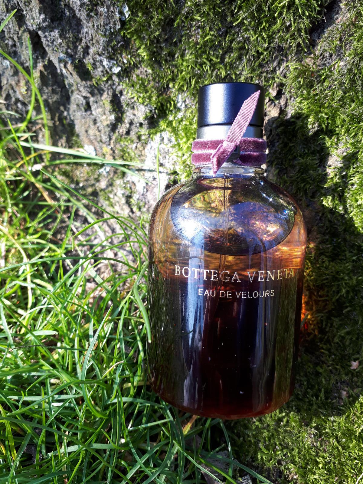 Bottega Veneta Eau de Velours Bottega Veneta perfume - a fragrance for ...