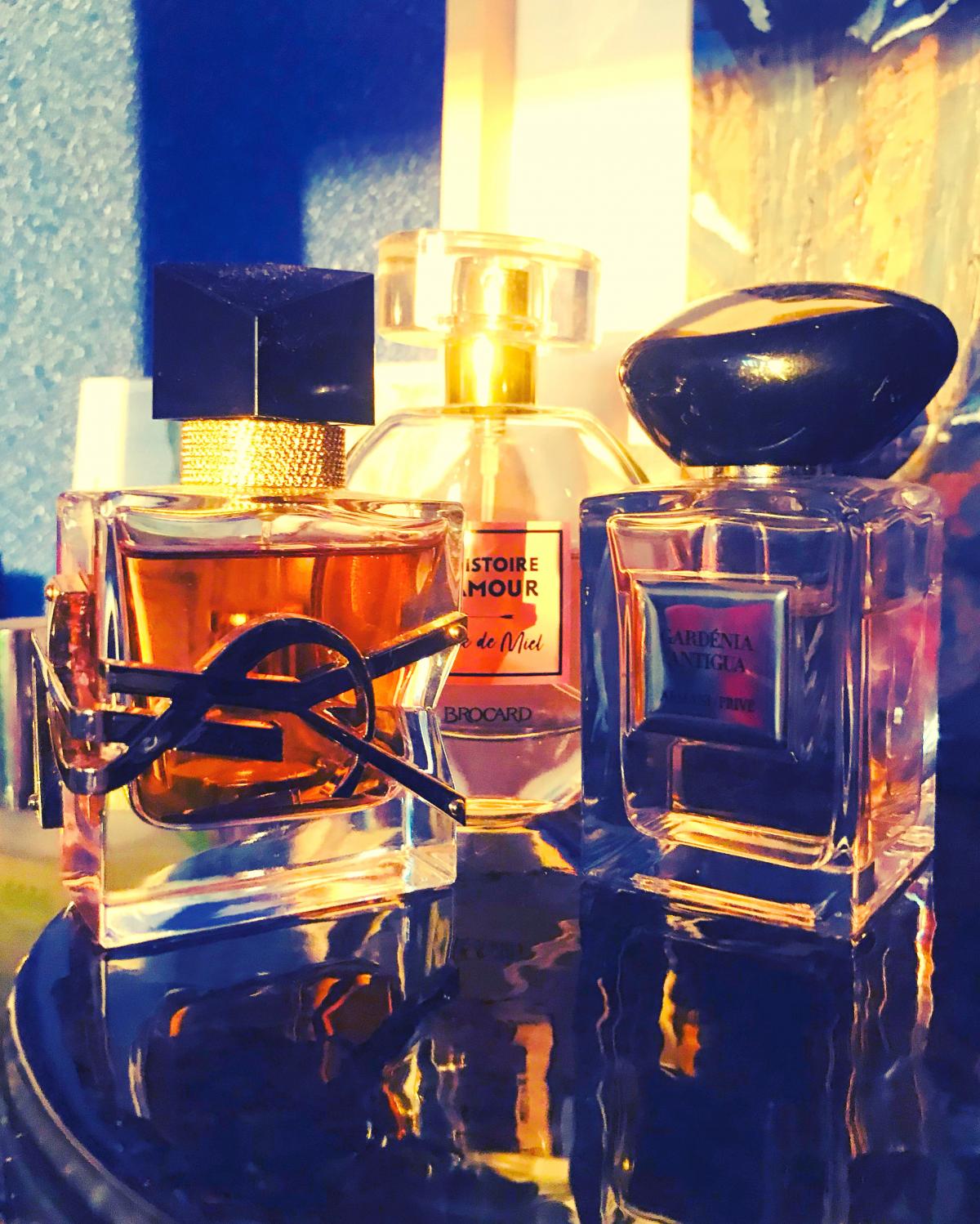 Libre Intense Yves Saint Laurent parfum - un nouveau parfum pour femme 2020