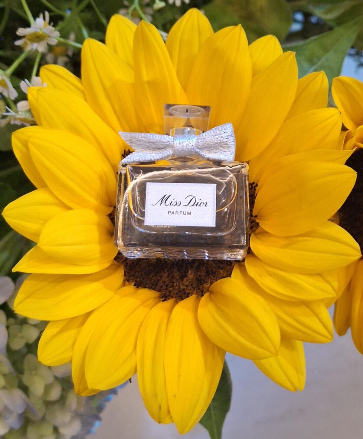 Miss Dior Parfum (2024) Dior Parfum - ein neues Parfum für Frauen 2024