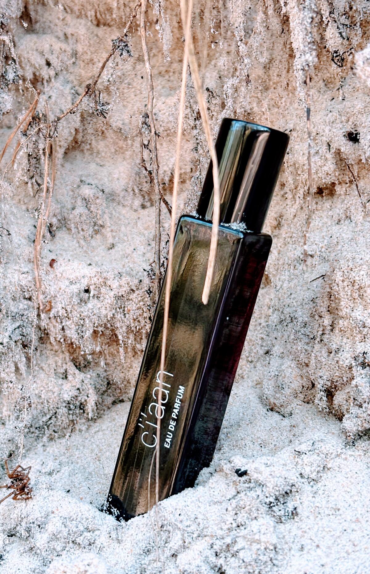 c’i’aan source adage fragrances perfume - a fragrance for women and men ...
