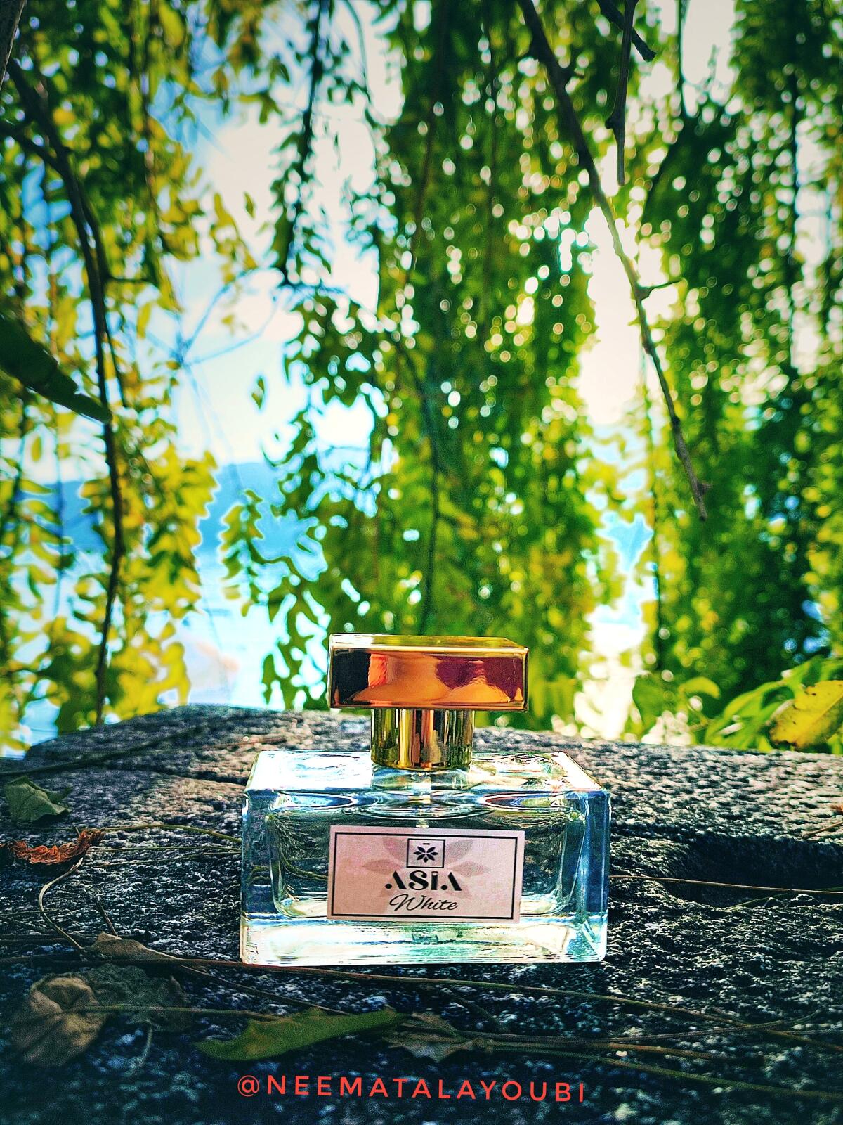 White Asia Perfumes perfume - a new fragrance for women 2024