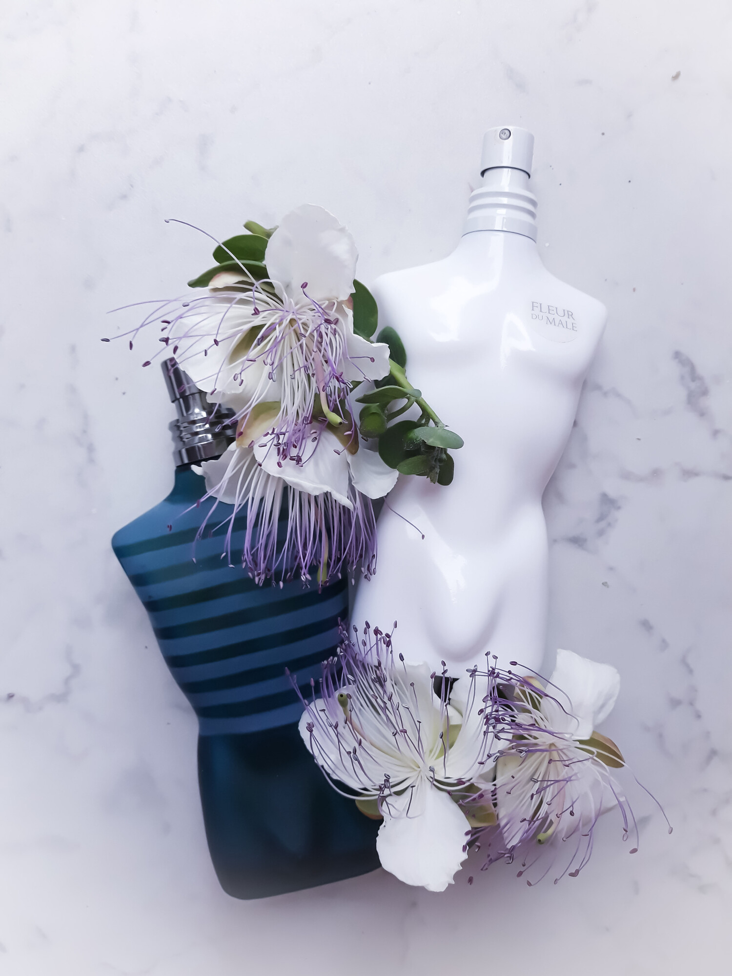 Le Male Jean Paul Gaultier Colonia - una fragancia para Hombres 1995