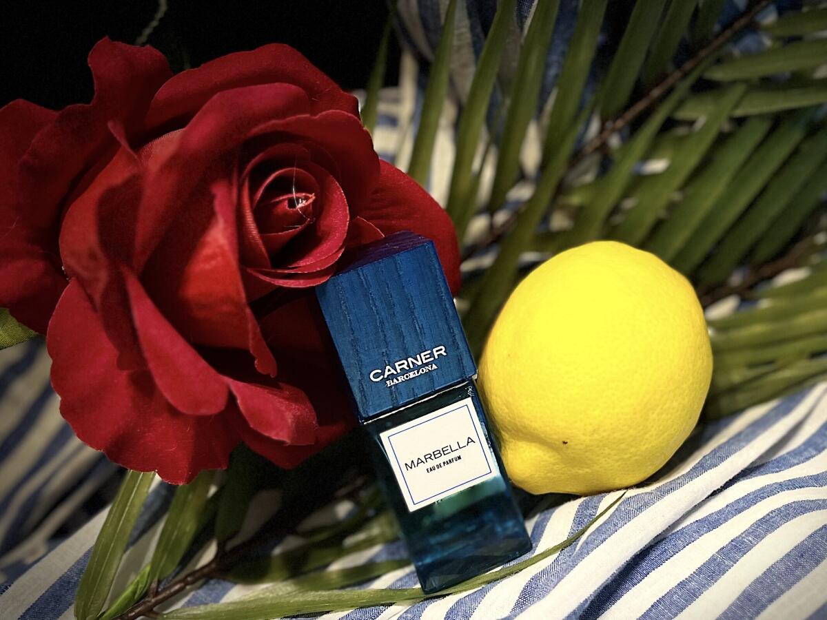 Marbella Carner Barcelona perfume - a fragrance for women and men 2020