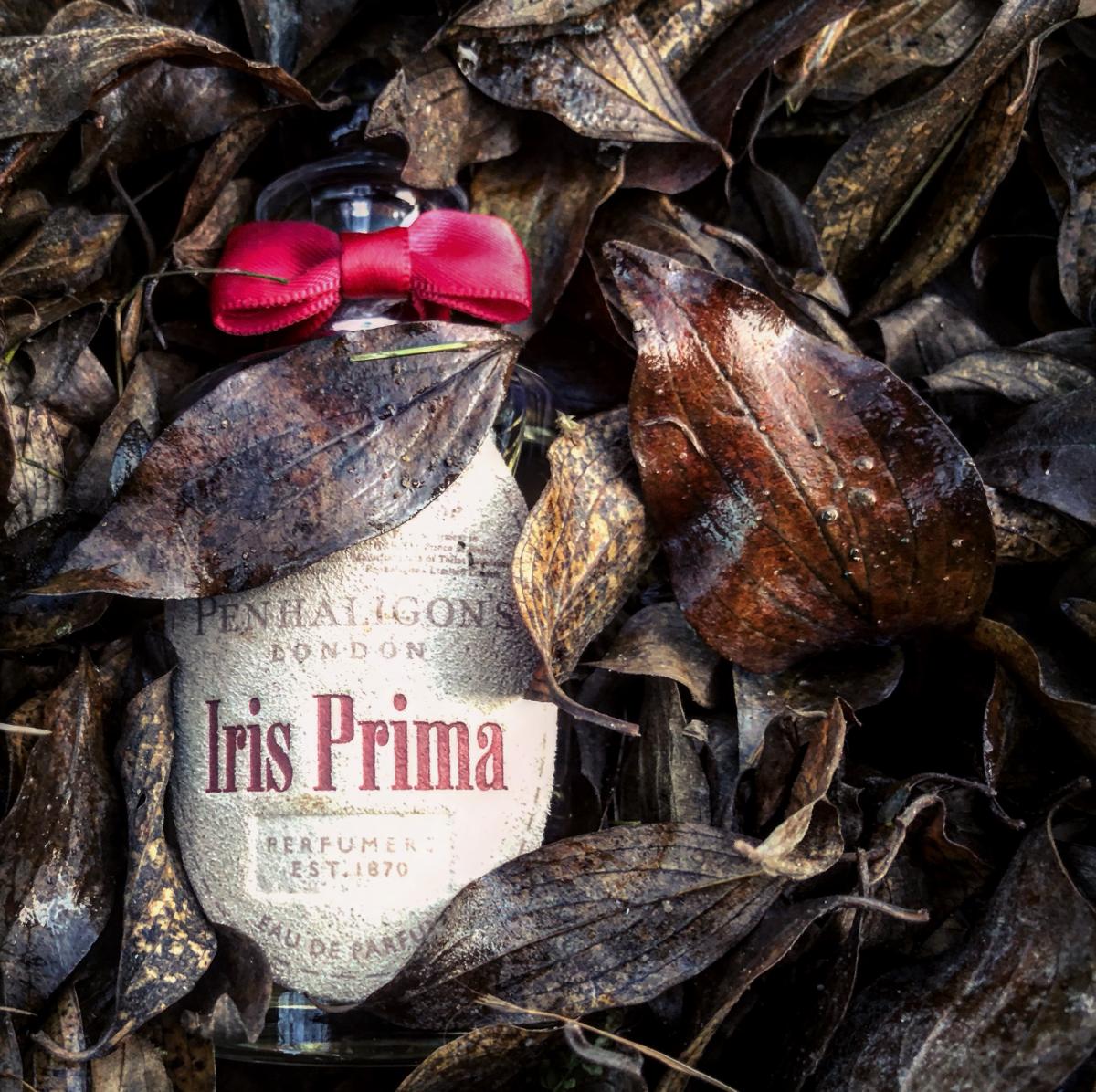 Iris Prima Penhaligon's perfume - a fragrance for women and men 2013
