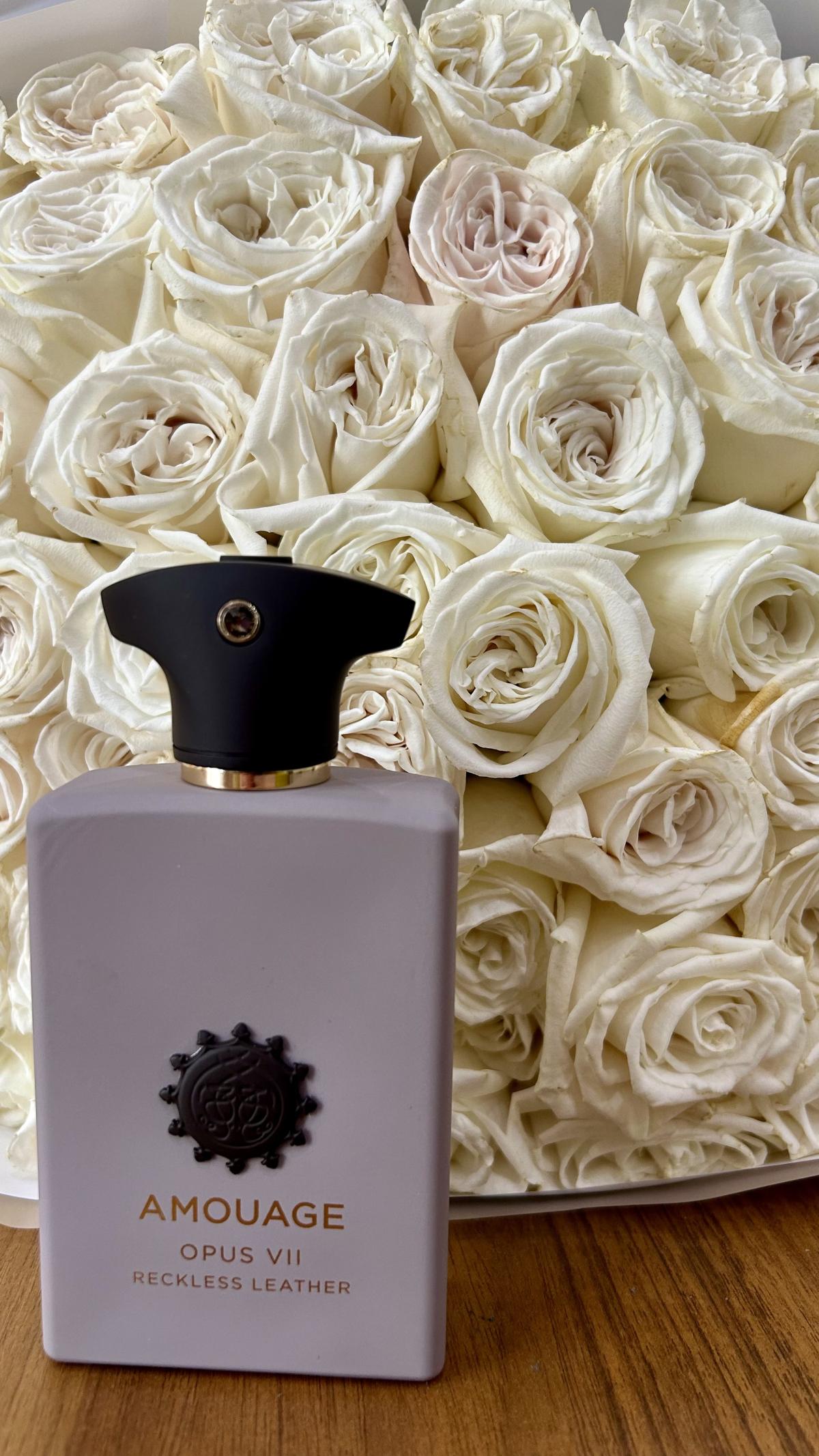 Opus VII – Reckless Leather Amouage perfume - a fragrance for women and ...