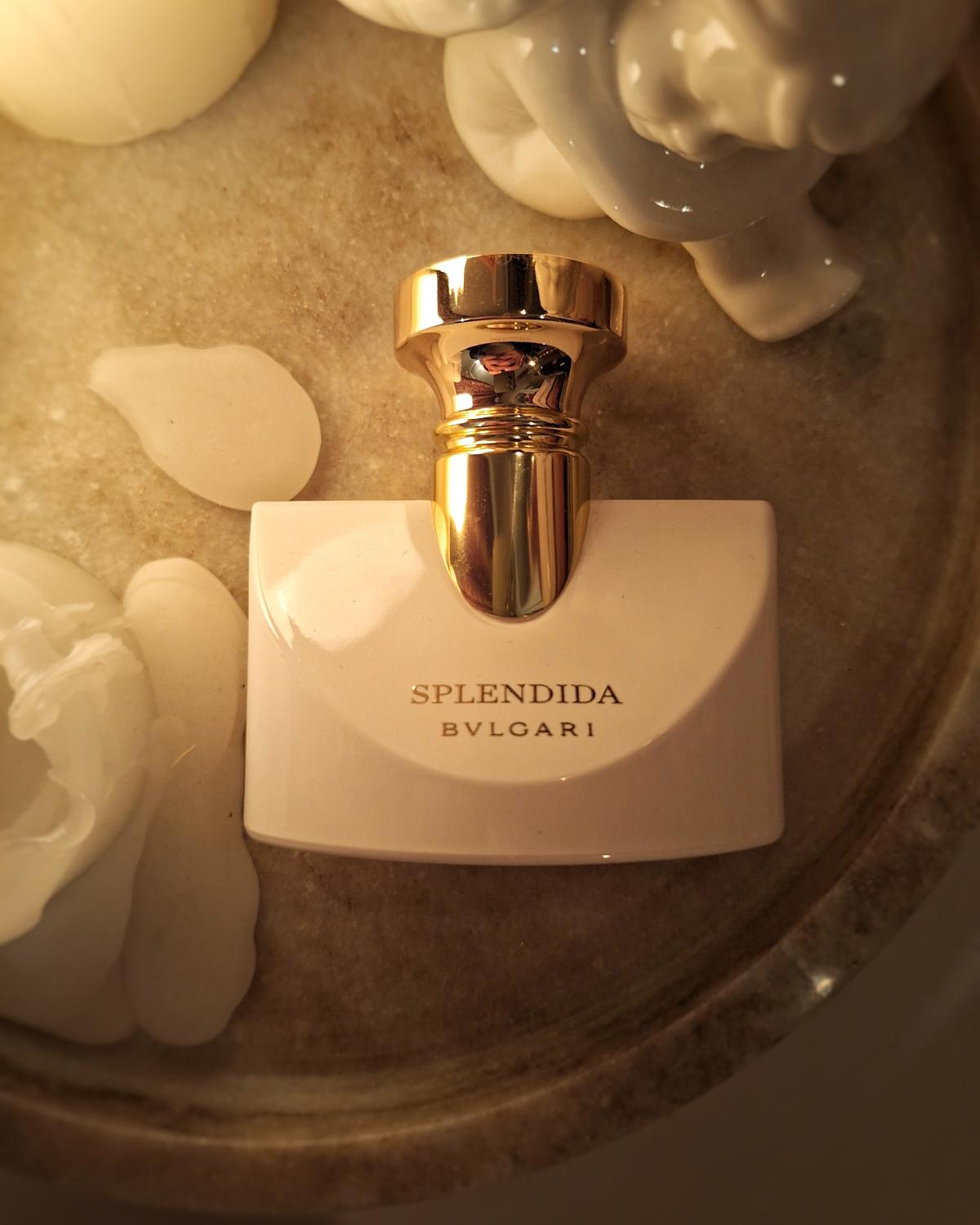 Splendida Patchouli Tentation Bvlgari perfume - a fragrance for women 2020