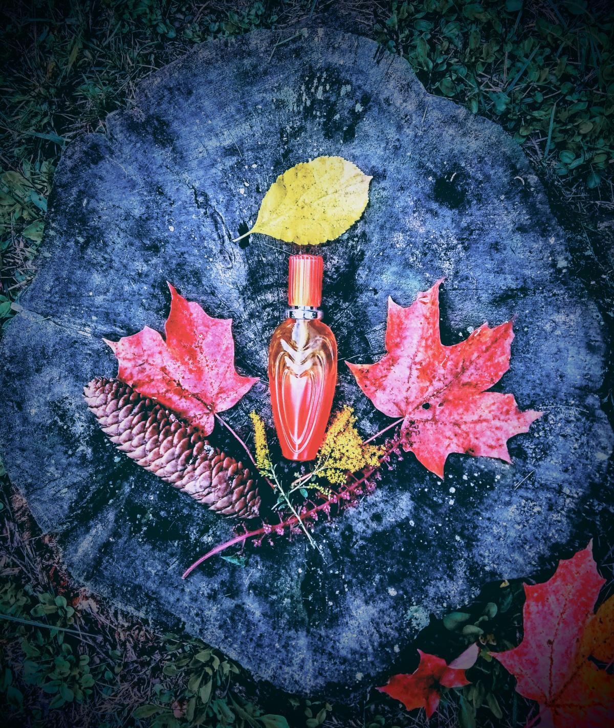 Sunset Heat Escada perfume - a fragrance for women 2007