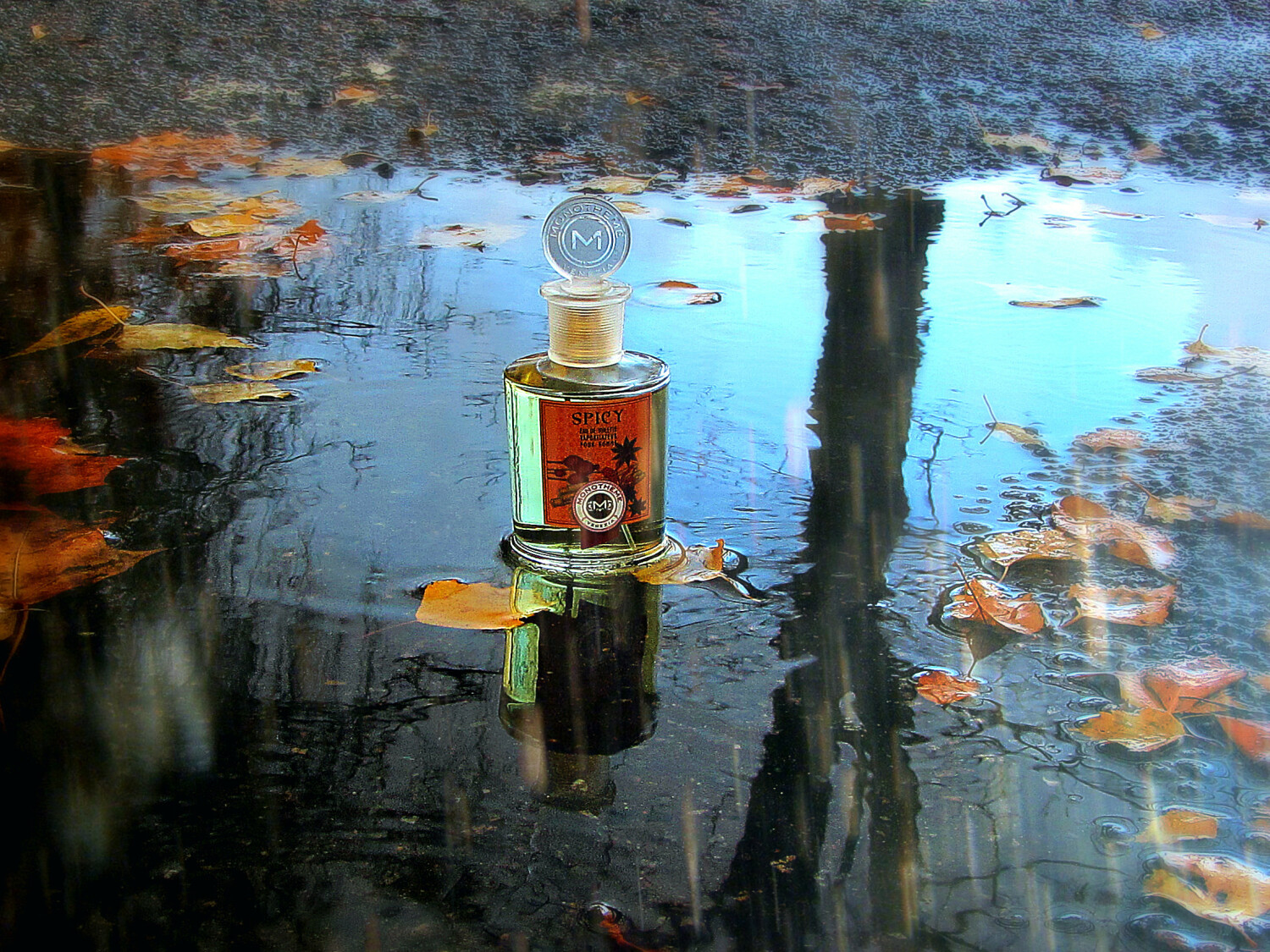 Spicy Monotheme Venezia Cologne - un parfum pour homme
