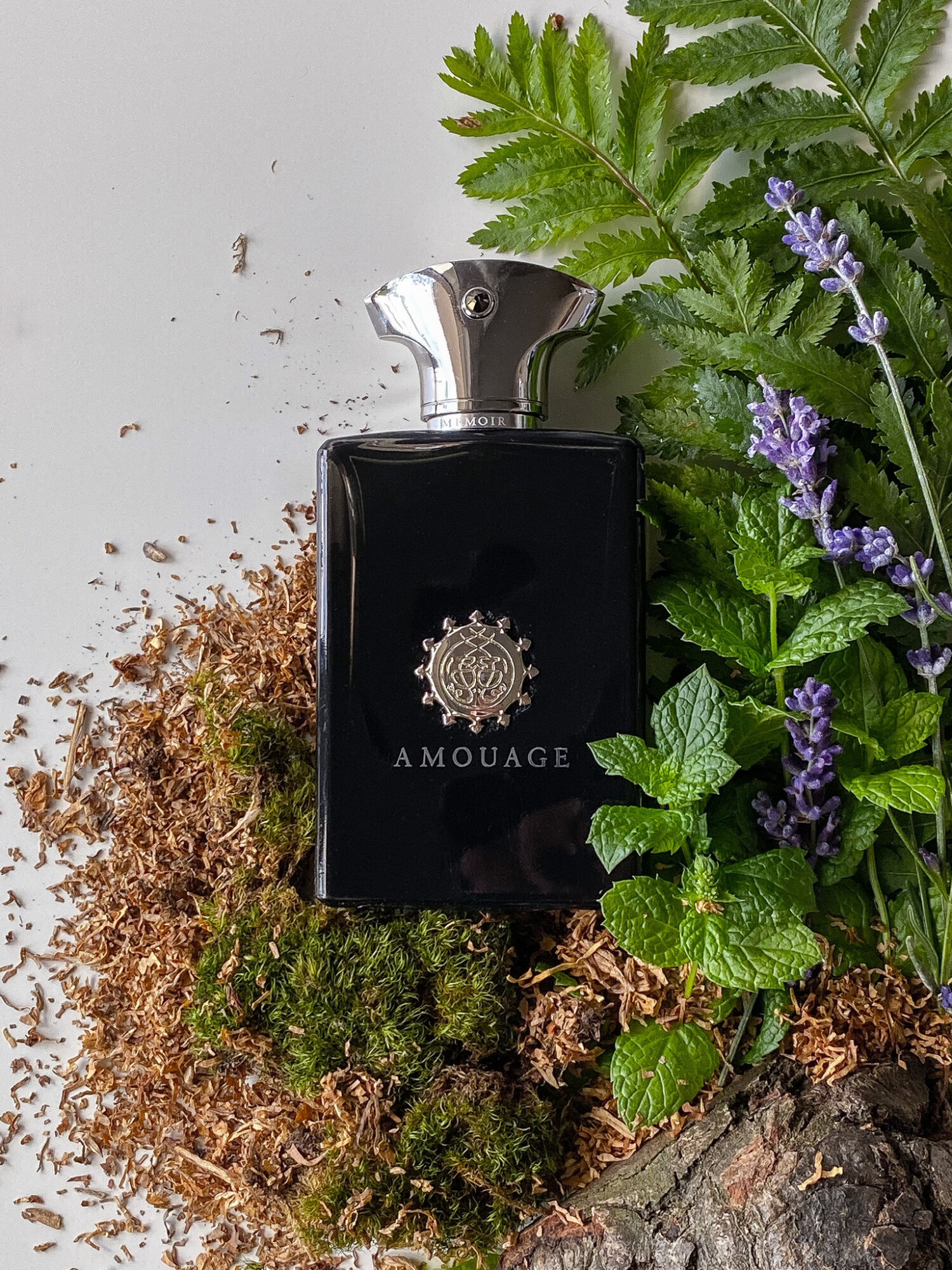 Memoir Man Amouage Cologne A Fragrance For Men 2010