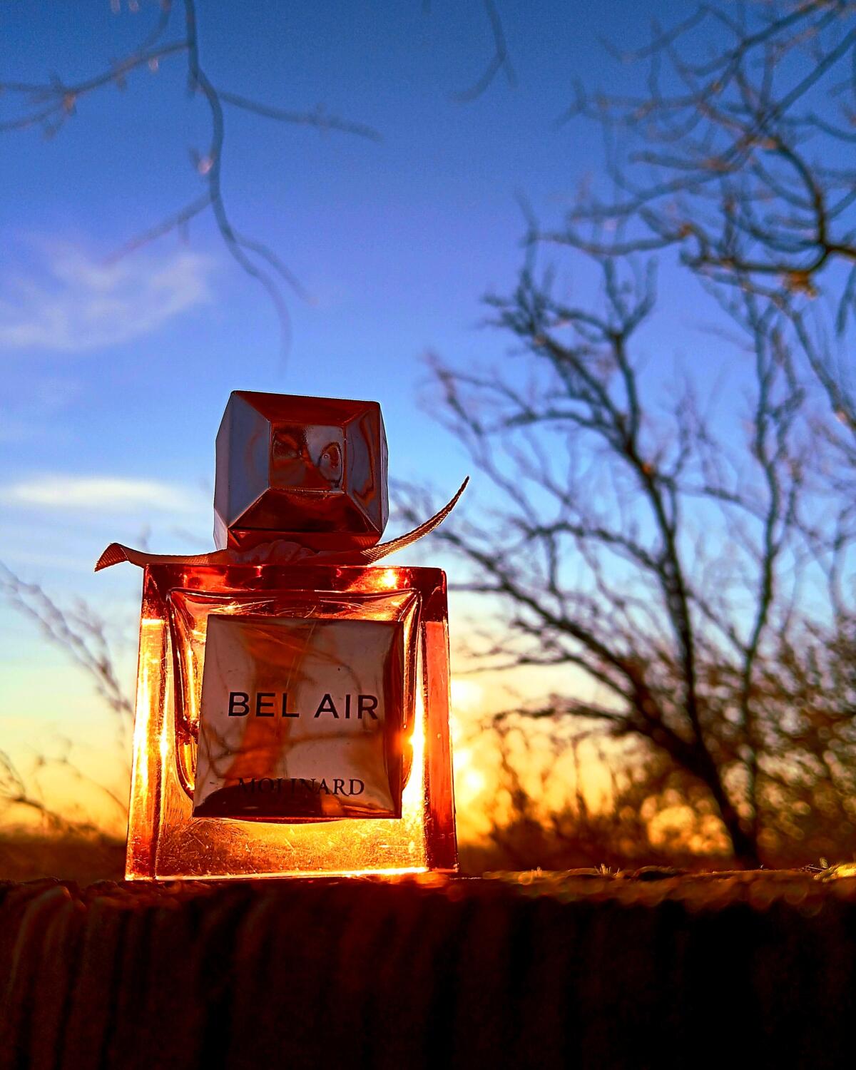Bel Air Molinard perfume - a fragrance for women 2019