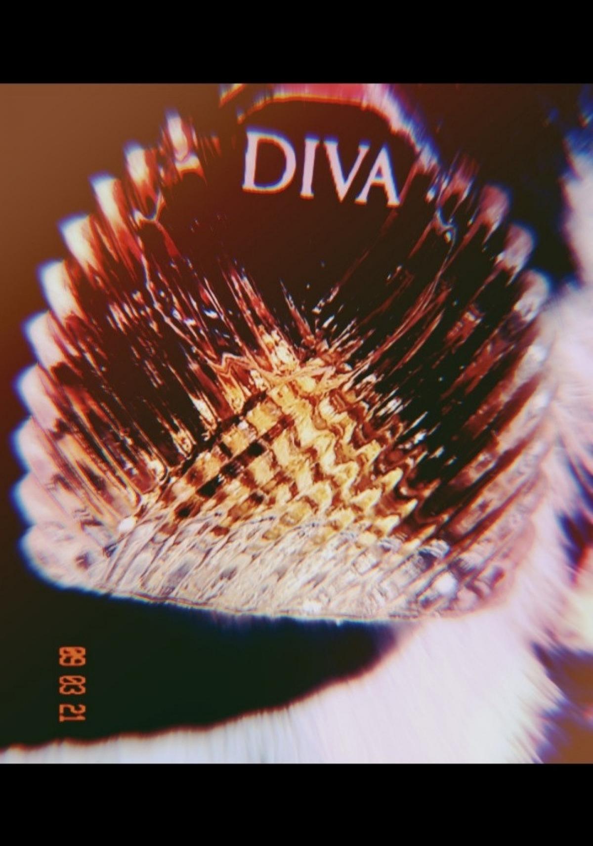 Diva Emanuel Ungaro perfume - a fragrance for women 1983