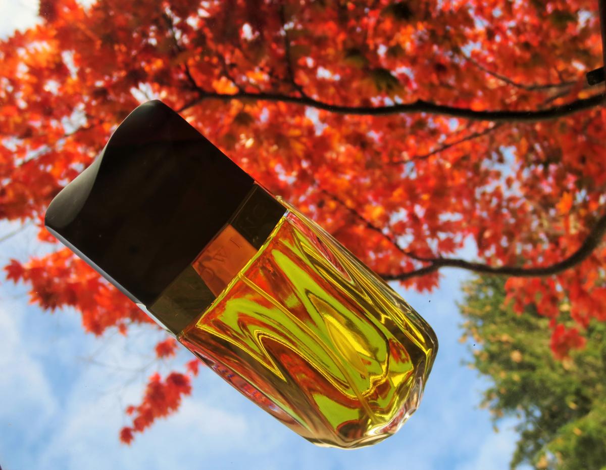 Knowing Estée Lauder perfume - a fragrance for women 1988