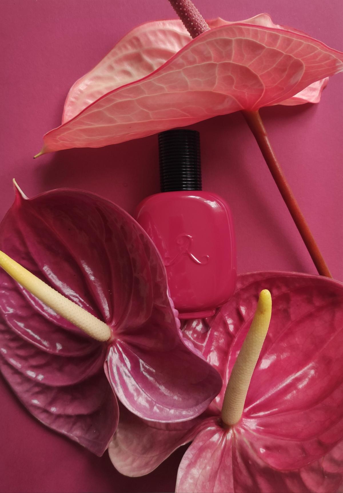Bois Fuchsia Les Parfums de Rosine perfume - a fragrance for women 2019