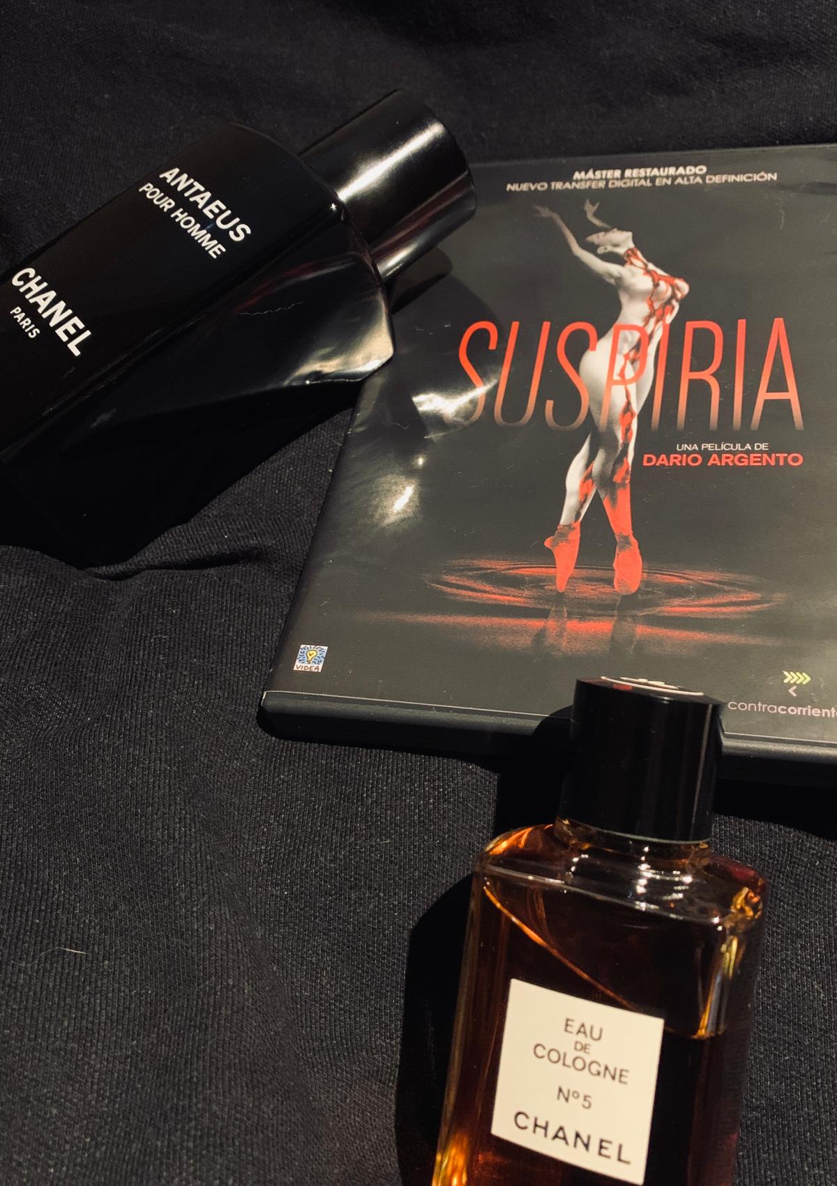 Antaeus Chanel cologne - a fragrance for men 1981