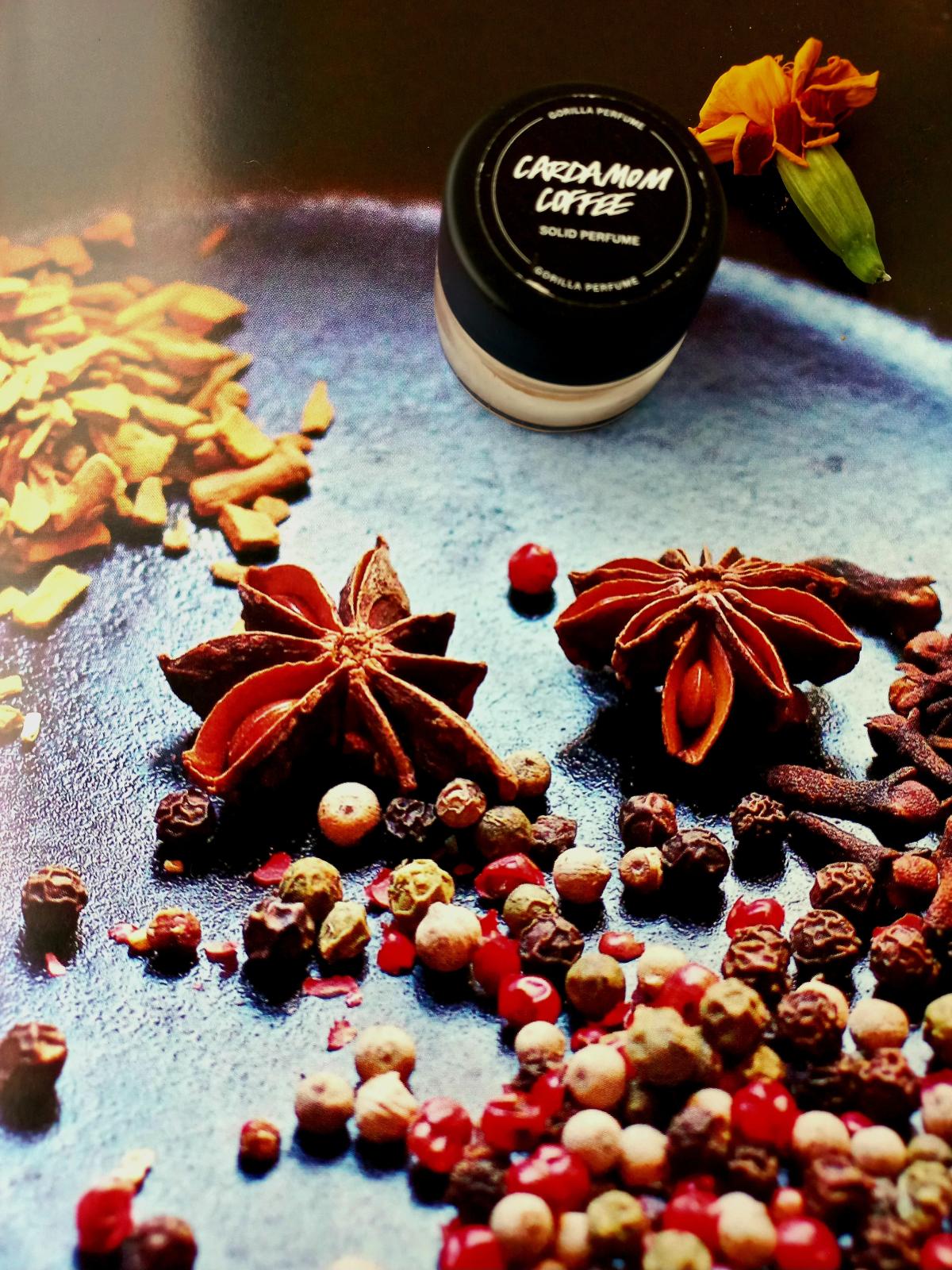 Cardamom Coffee Lush perfume - a fragrance for women and men 2016