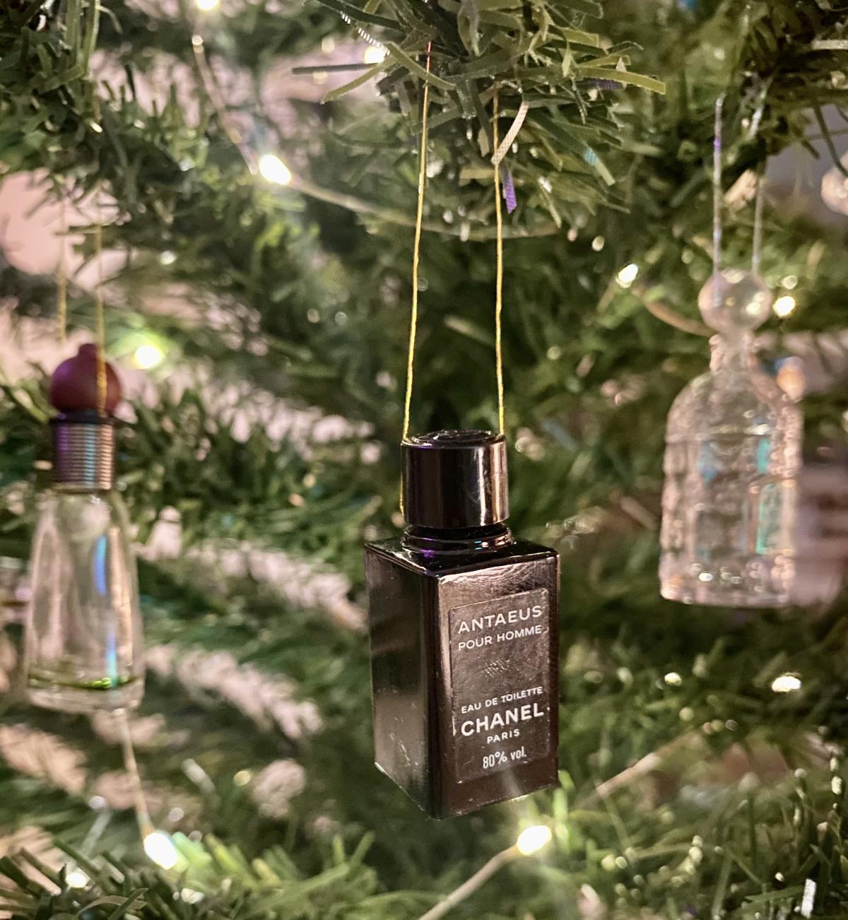 Antaeus Chanel cologne - a fragrance for men 1981