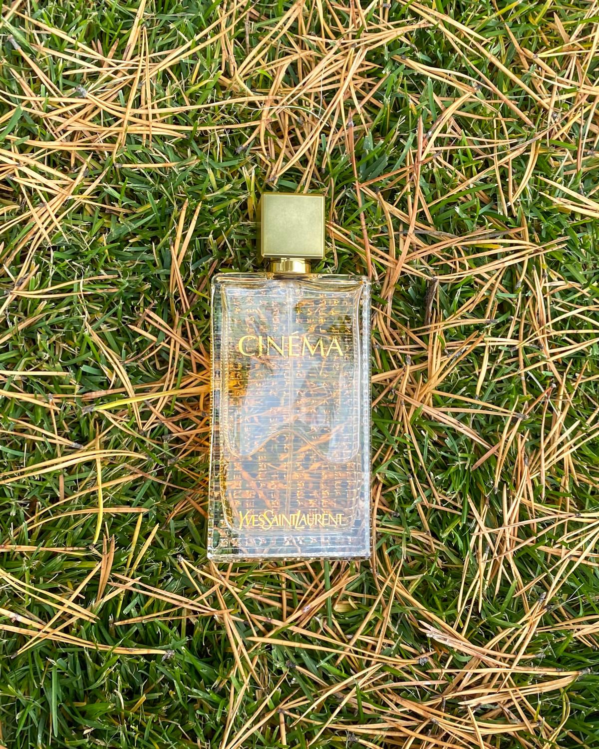 Cinéma Yves Saint Laurent perfume - a fragrance for women 2004