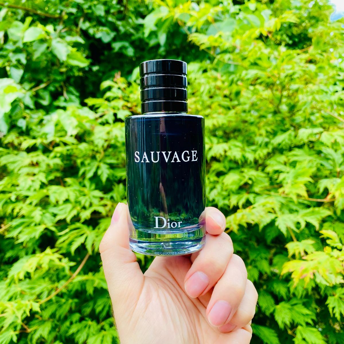 Sauvage Dior Cologne - ein es Parfum für Männer 2015