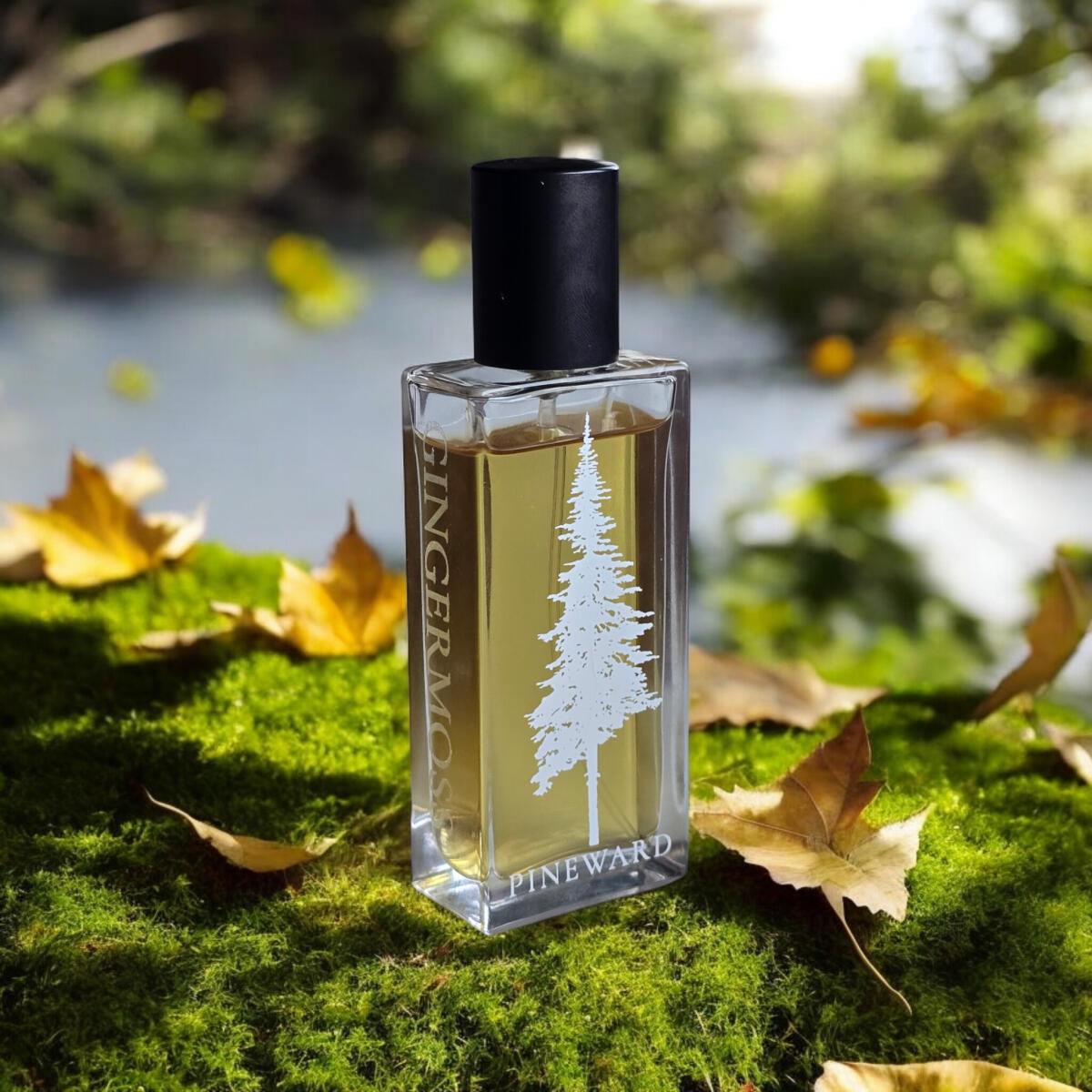 Gingermoss Pineward Perfumes - una fragranza unisex 2023