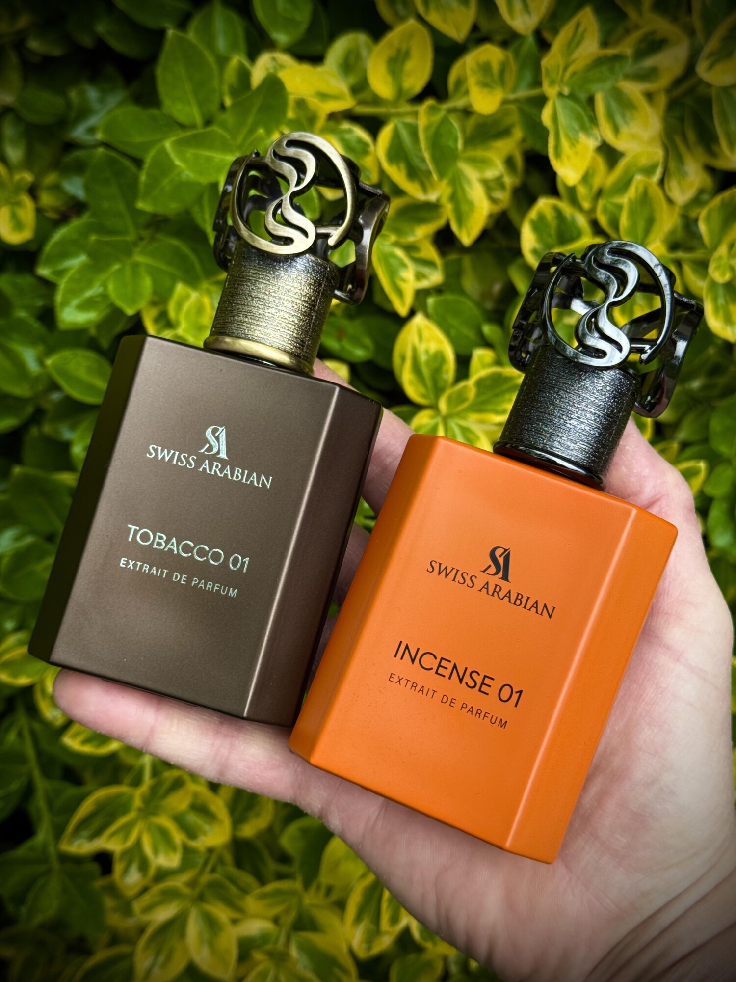 Tobacco 01 Swiss Arabian perfume - a new fragrance for women and men 2024