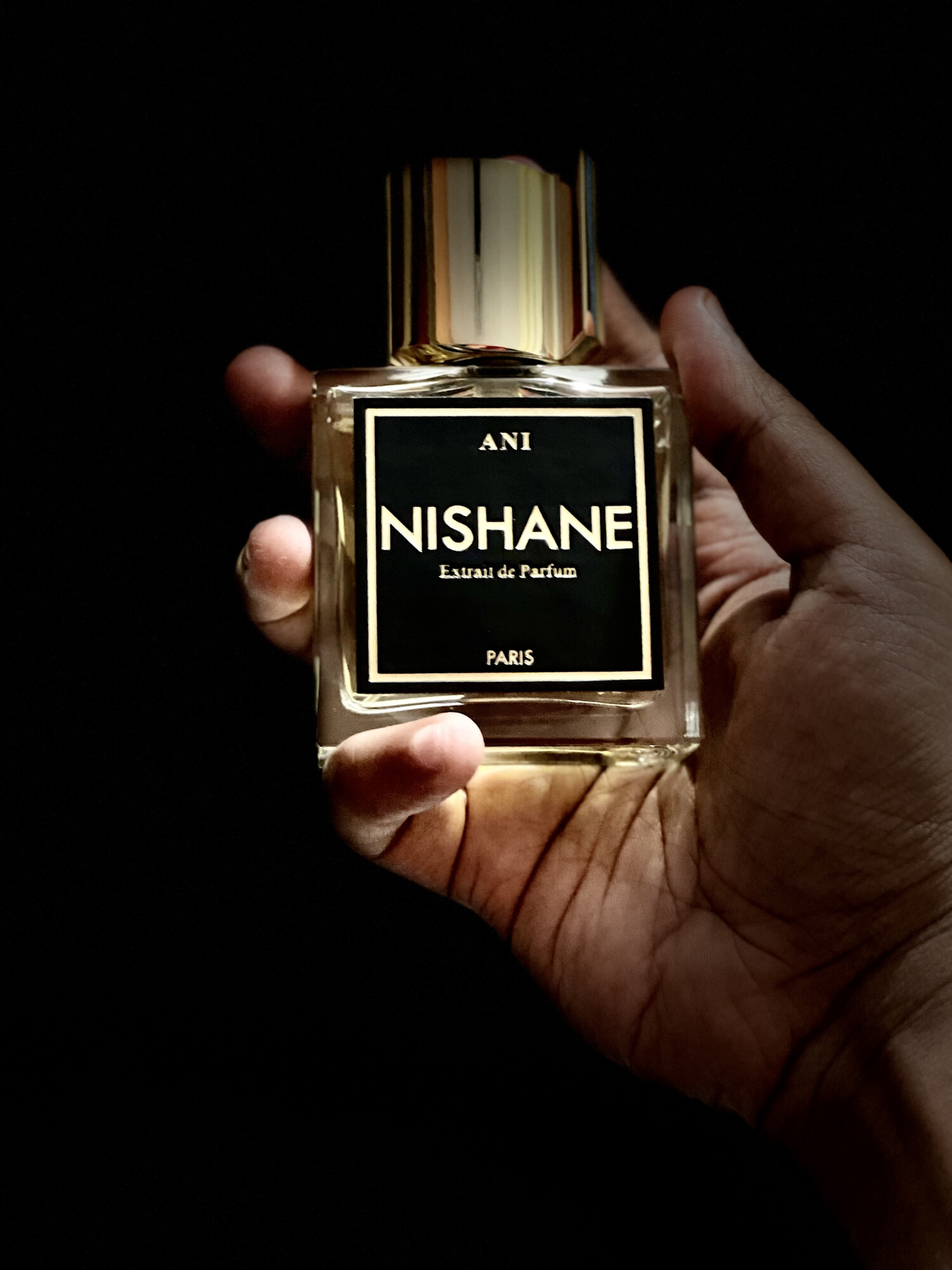Ani Nishane perfume - a fragrance for women and men 2019
