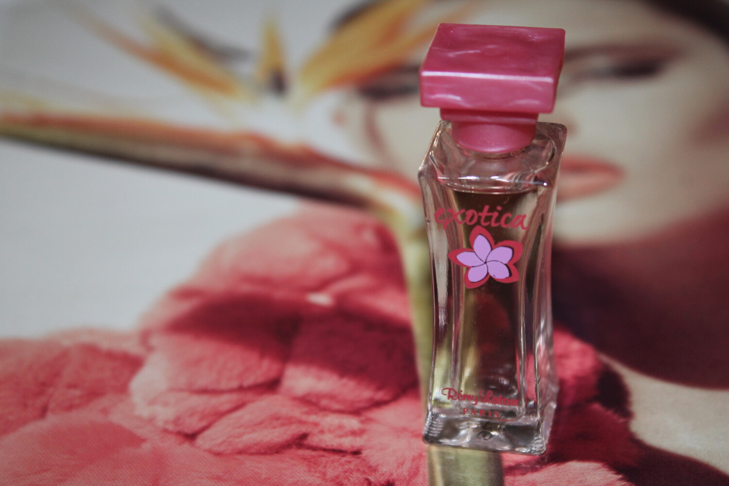 Exotica Rémy Latour perfume - a fragrance for women
