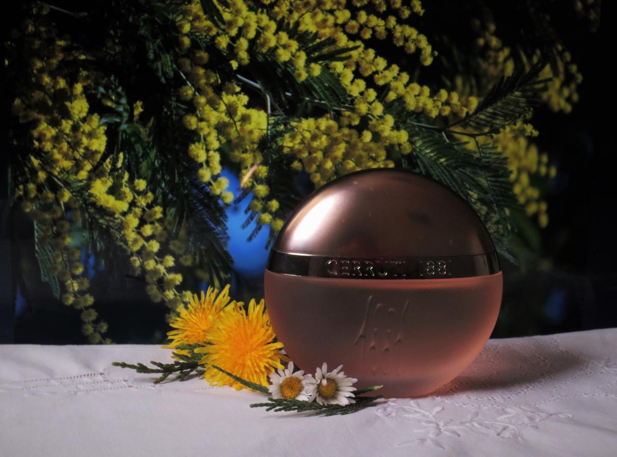 1881 Cerruti perfume - a fragrance for women 1995