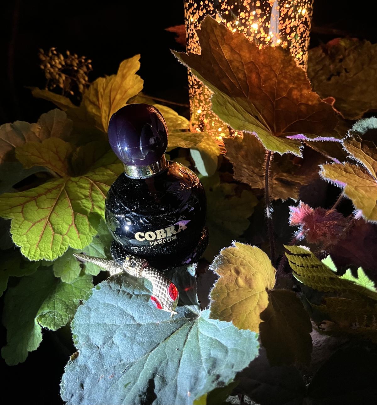 Cobra Jeanne Arthes perfume - a fragrance for women