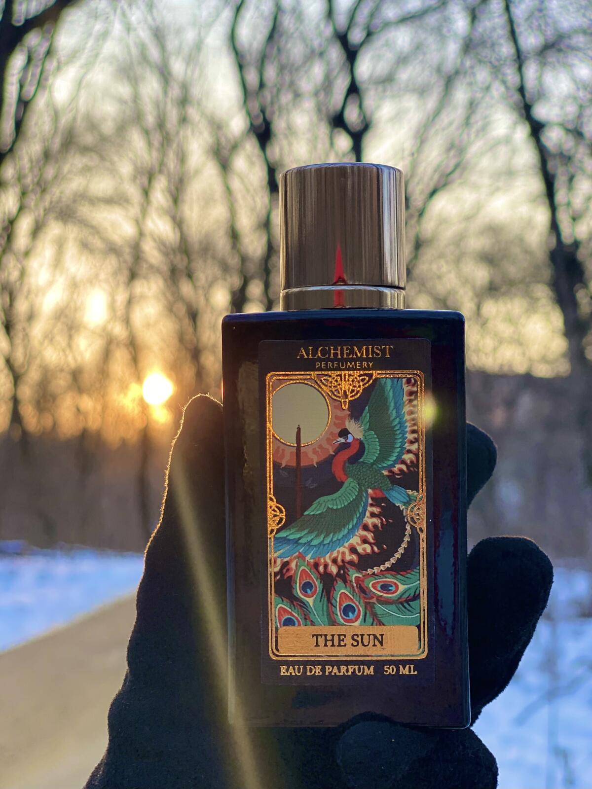 The Sun Alchemist сүрчиг - a шинэ сүрчиг эмэгтэй 2022