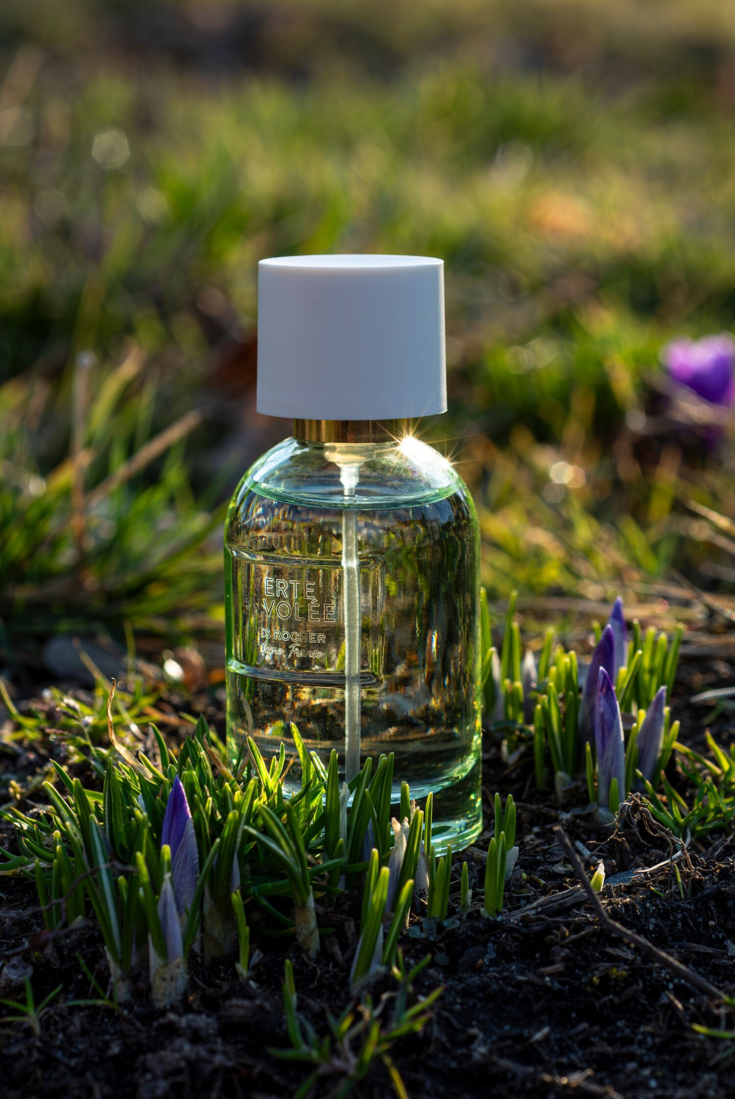 Verte Envolee Yves Rocher perfume - a fragrance for women 2023