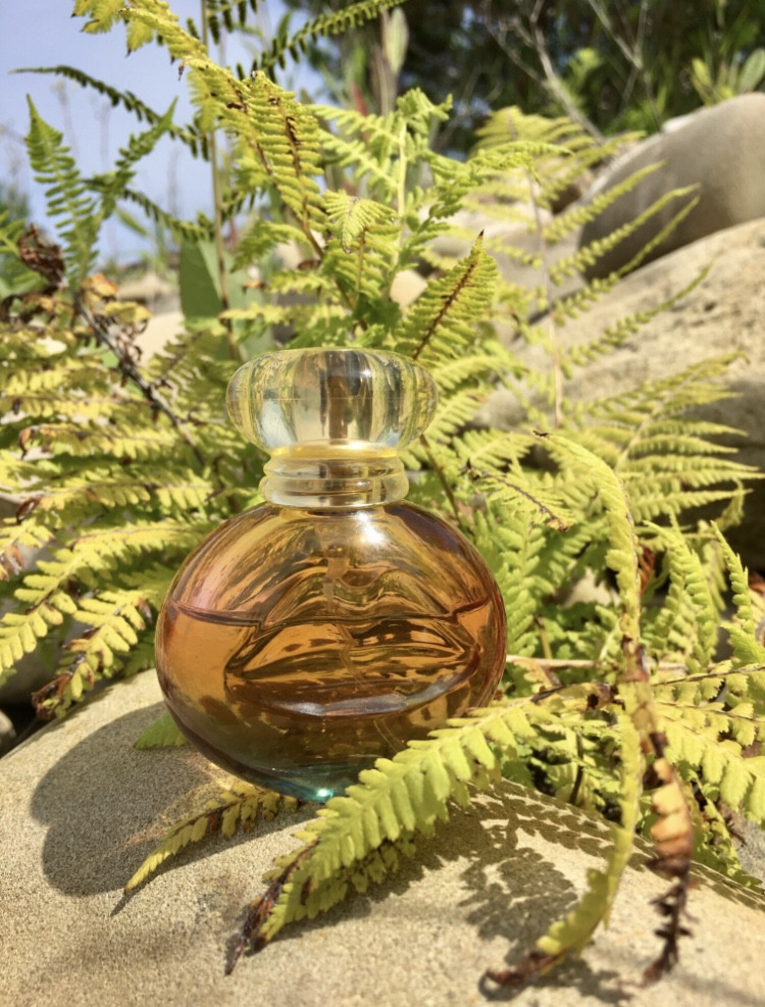 Sunrise in Cadaquès Salvador Dali perfume - a fragrance for women 2017