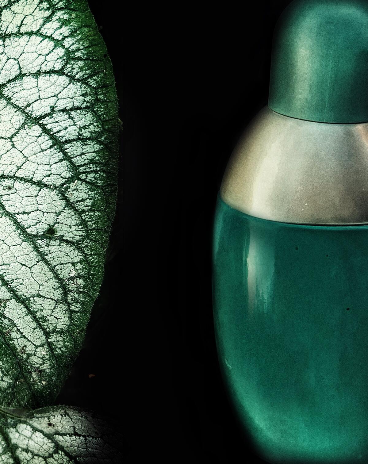 Eden Cacharel perfume - a fragrance for women 1994