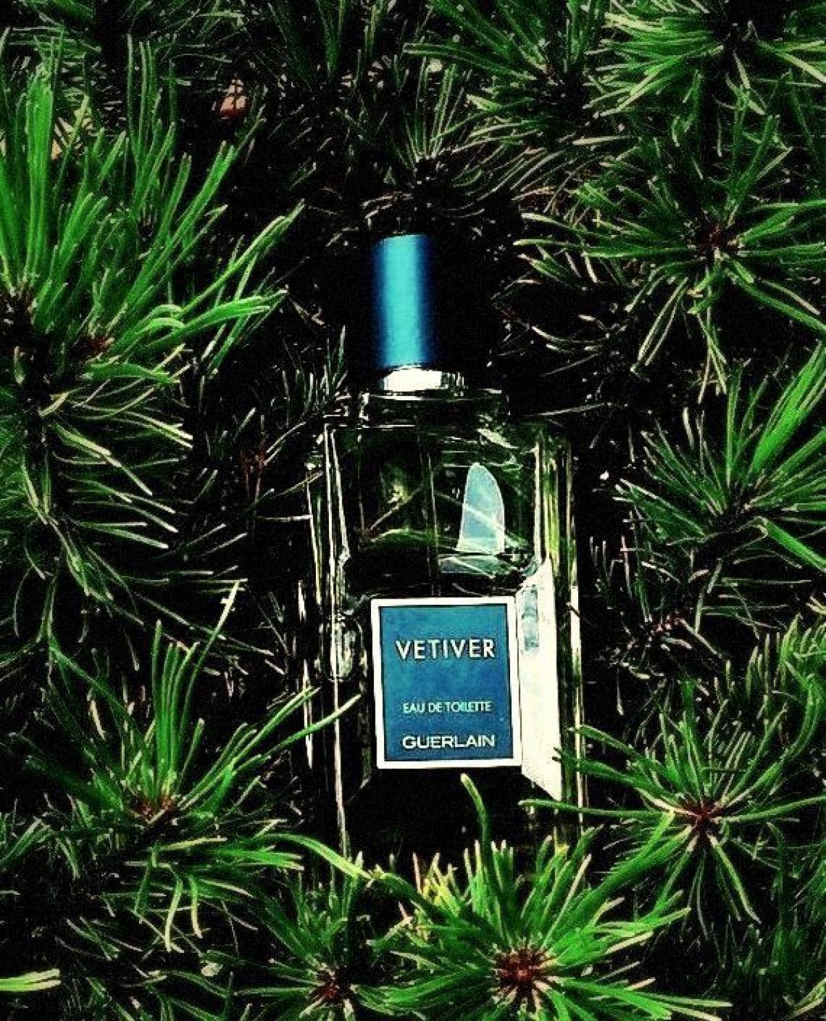 Vetiver Guerlain cologne - a fragrance for men 2000