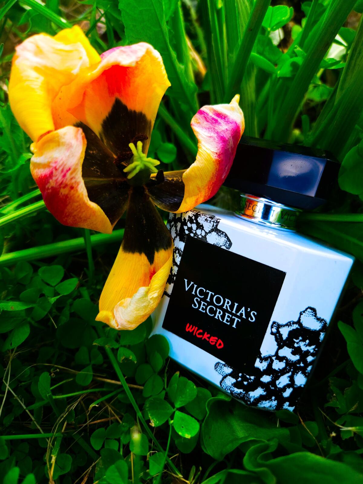 Wicked Eau de Parfum Victoria's Secret perfume - a fragrance for women 2017