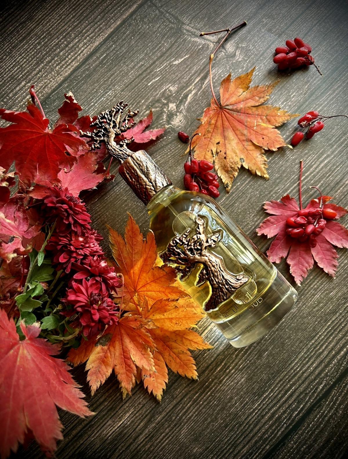 Eternal Oud Lattafa Perfumes perfume - a new fragrance for women and ...