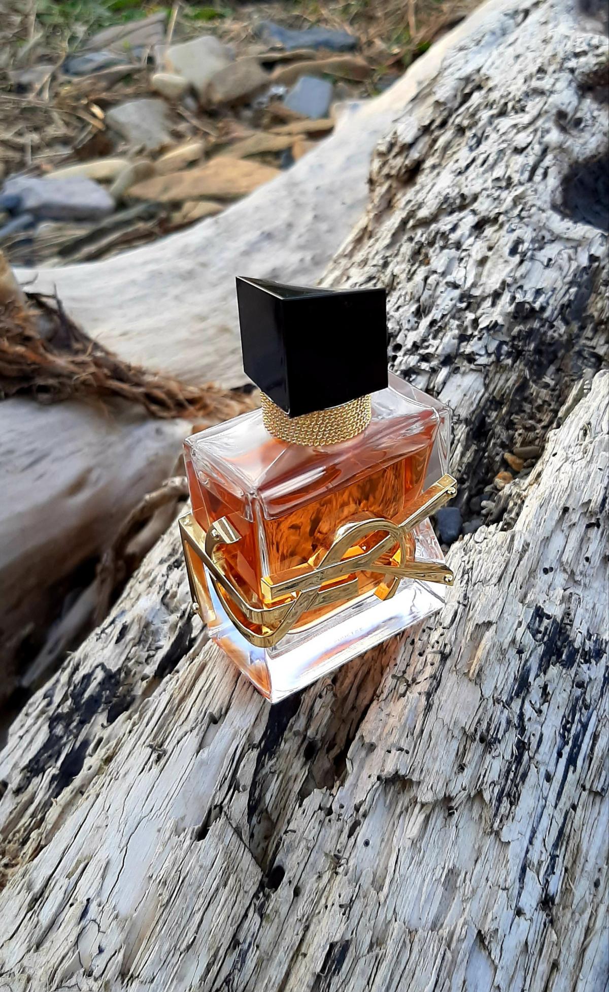 Libre Intense Yves Saint Laurent perfume - a new fragrance for women 2020