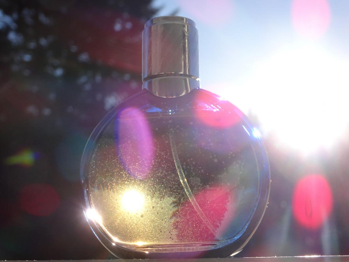 Midnight in Paris Van Cleef & Arpels cologne - a fragrance for men 2010