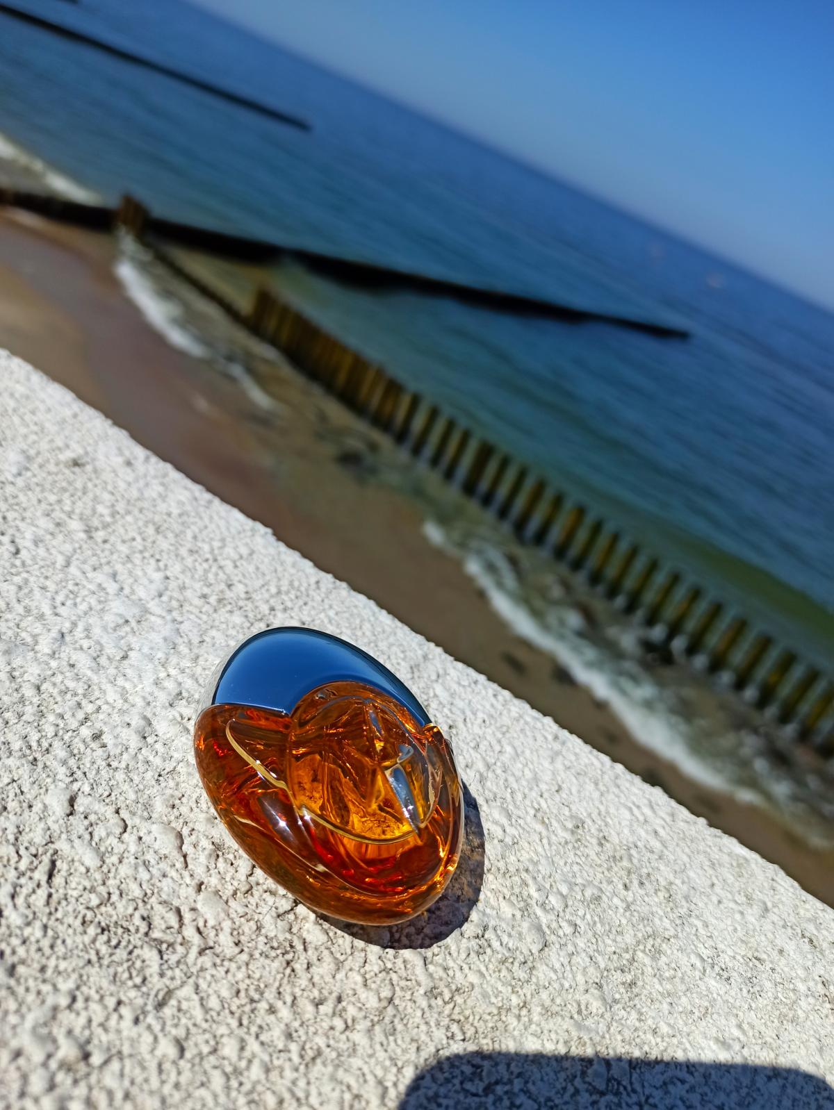 Angel Muse Mugler perfume - a fragrance for women 2016