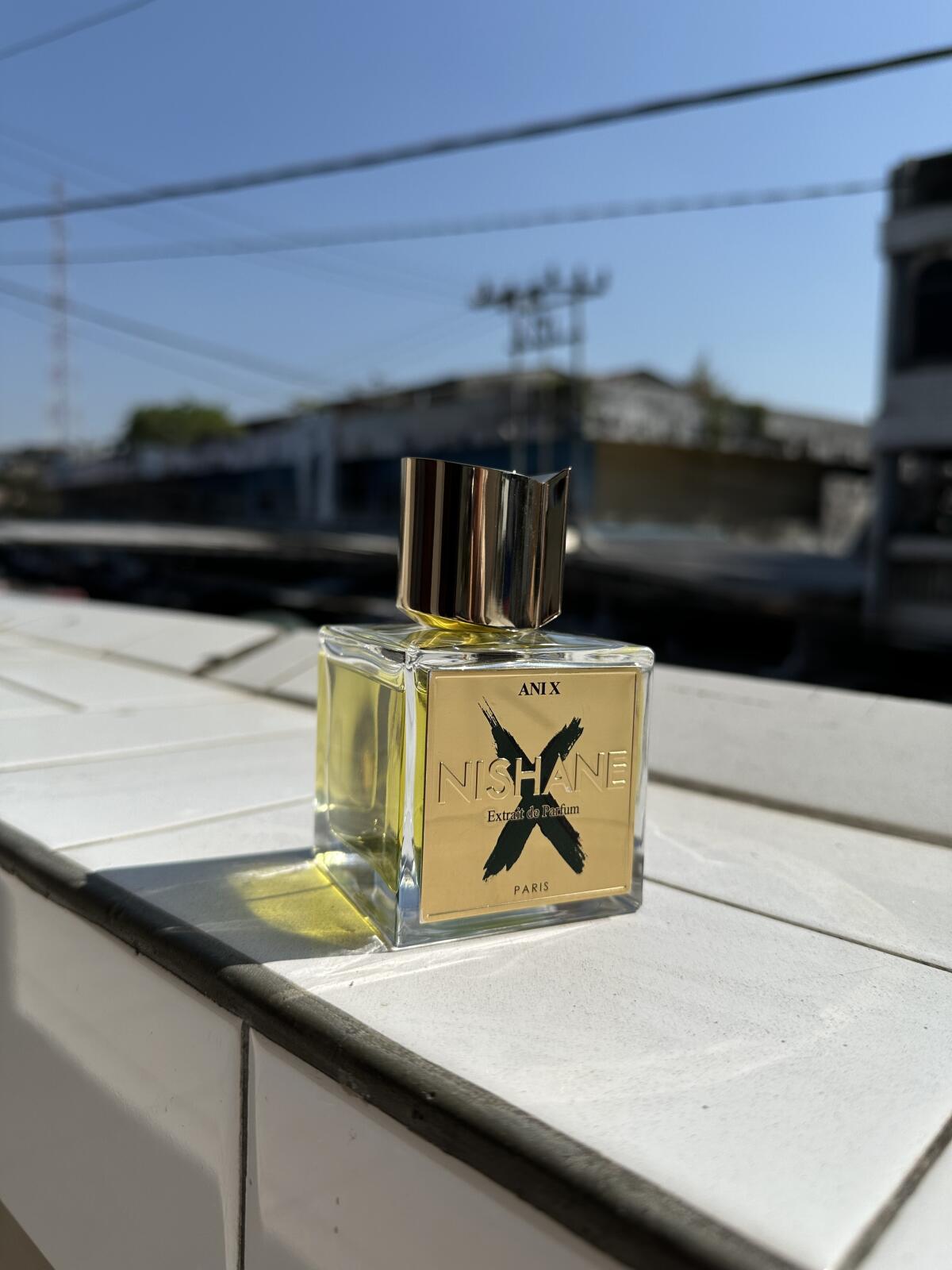 Ani X Nishane perfume - a fragrance for women and men 2023