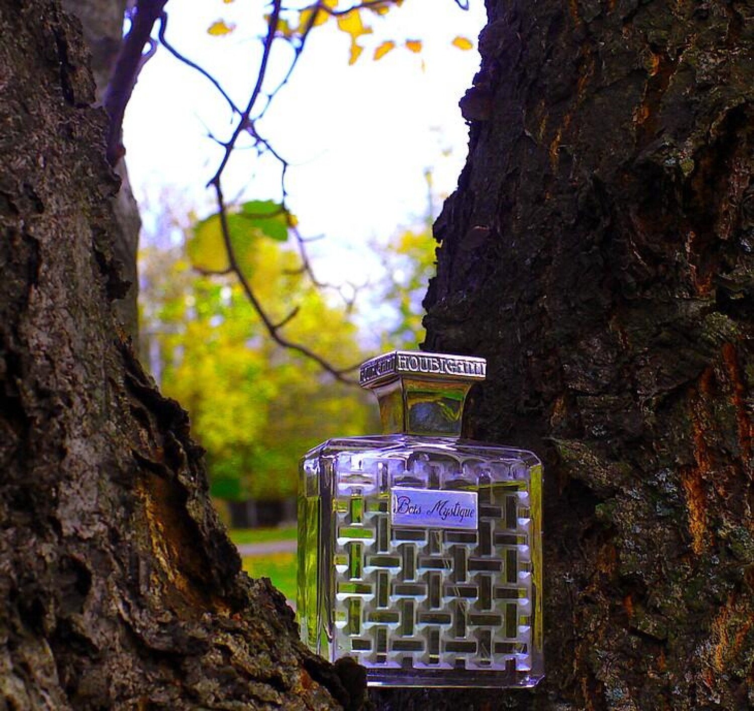 Bois Mystique Houbigant cologne - a fragrance for men 2018