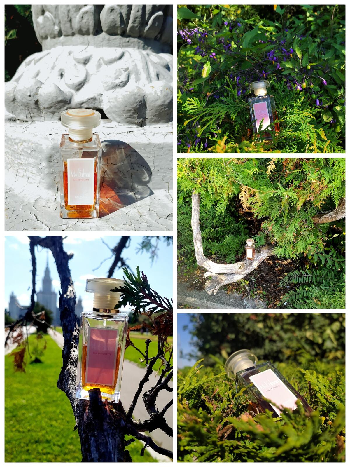 Miss Balmain Pierre Balmain perfume - a fragrance for women 1967