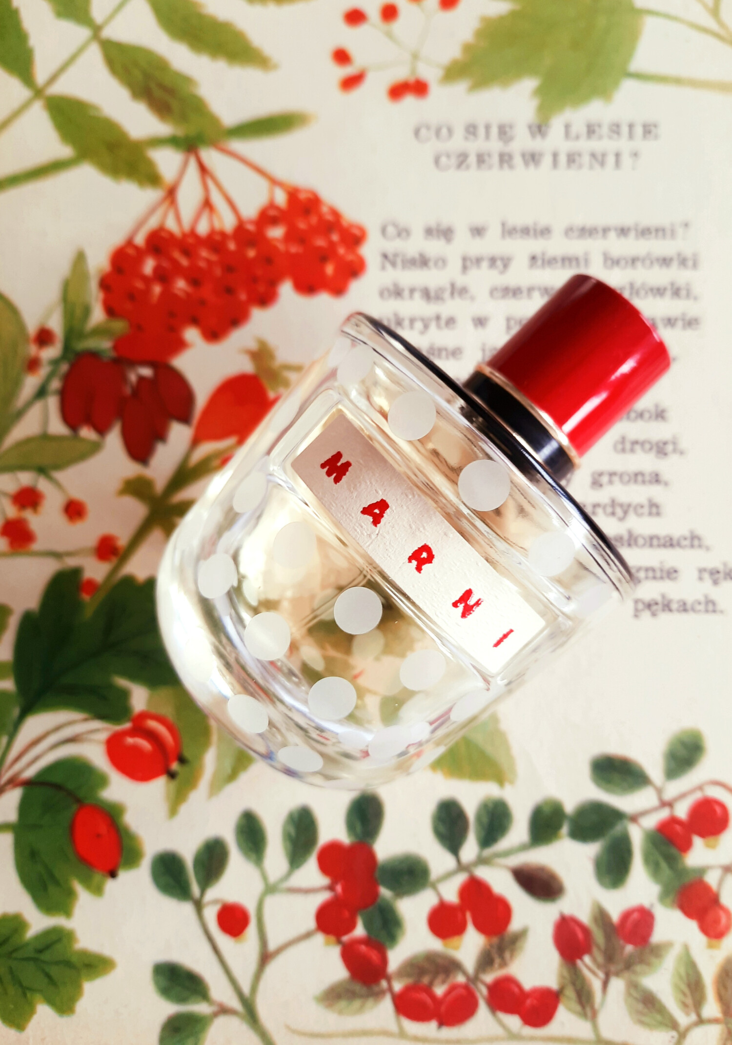 Marni Marni perfume - a fragrance for women 2012