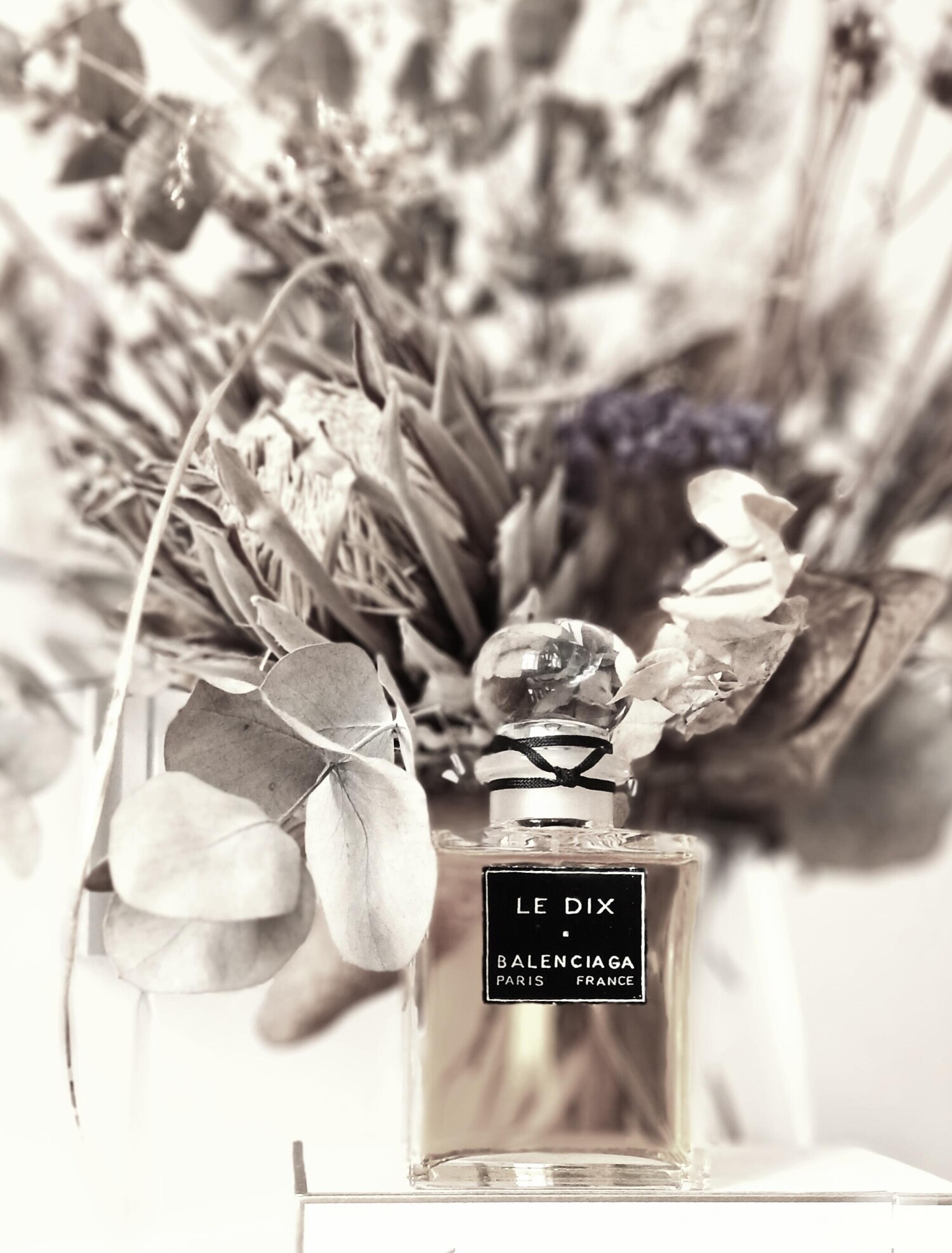 Le Dix (2025) Balenciaga perfume - a new fragrance for women and men 2025