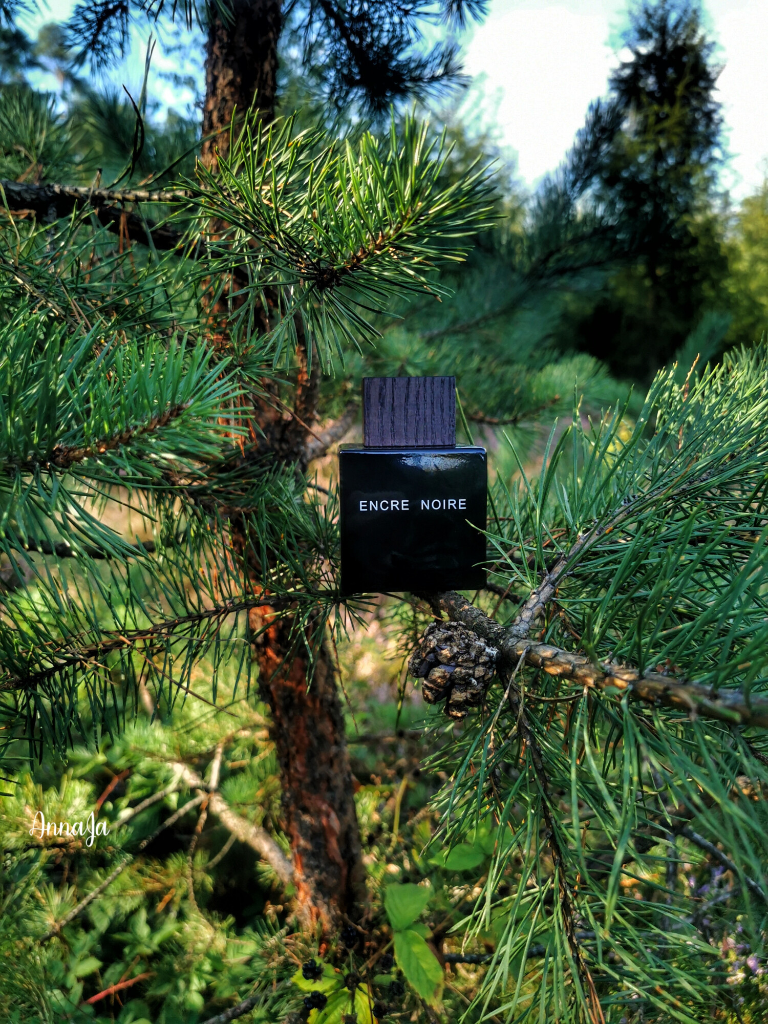 Encre Noire Lalique cologne - a fragrance for men 2006