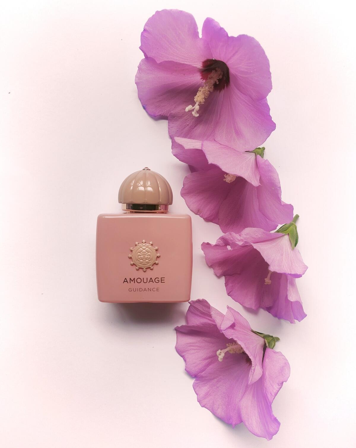 Guidance Amouage perfume - a new fragrance for women and men 2023