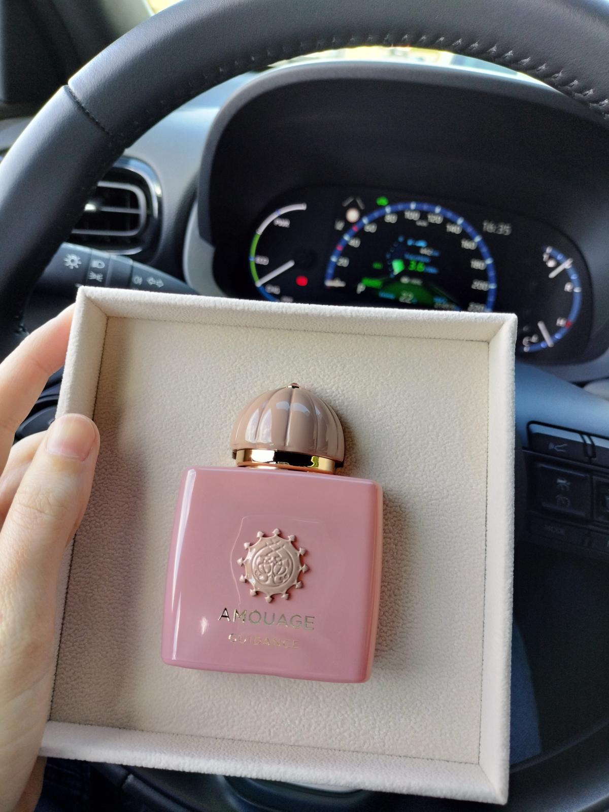 Guidance Amouage perfume - a new fragrance for women and men 2023