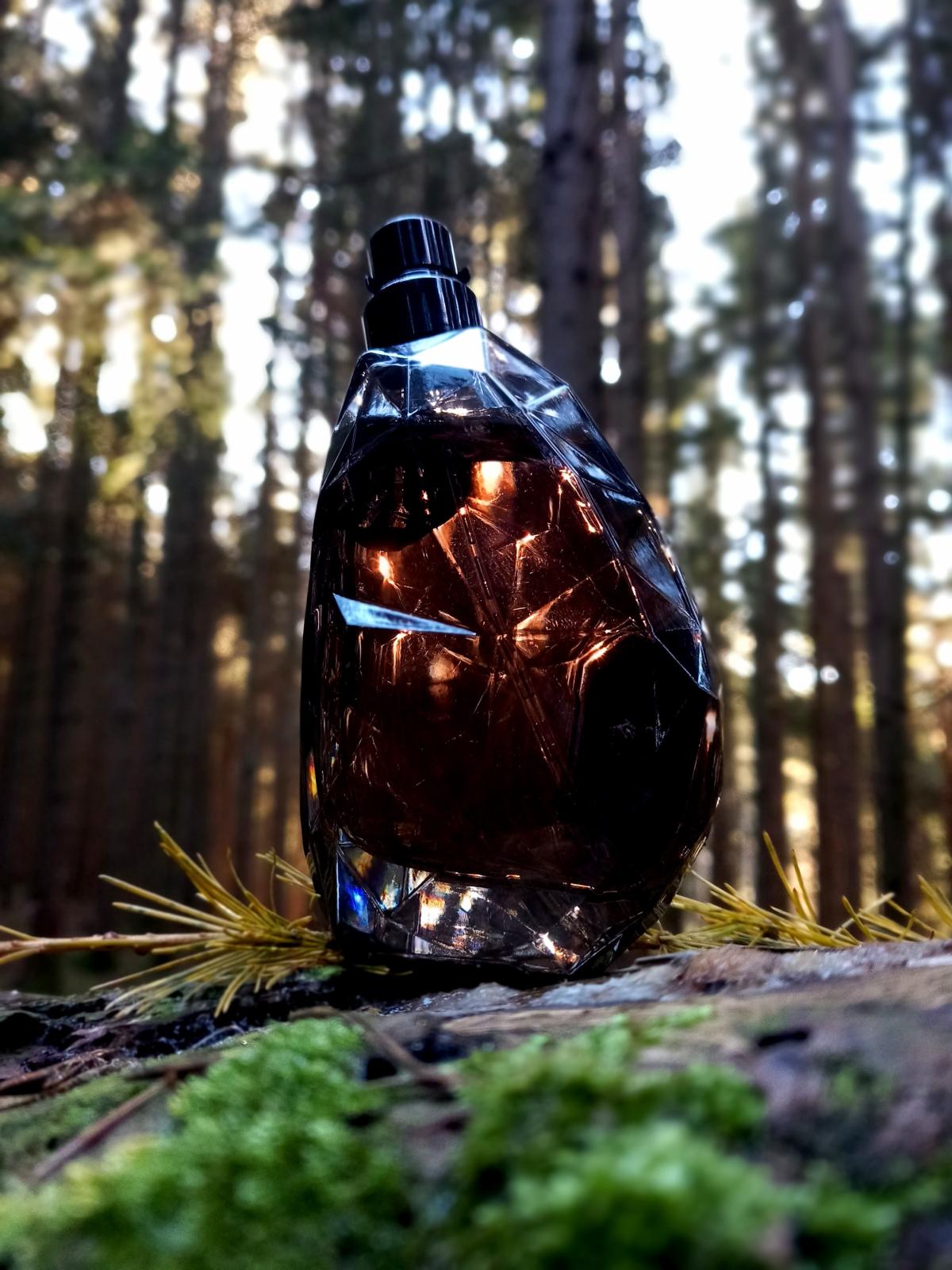 Stone For Him Replay cologne - a fragrance for men 2015