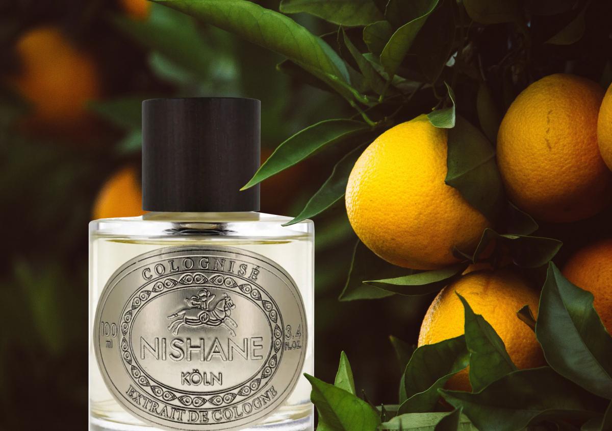 Colognise Nishane perfume - a fragrance for women and men 2018
