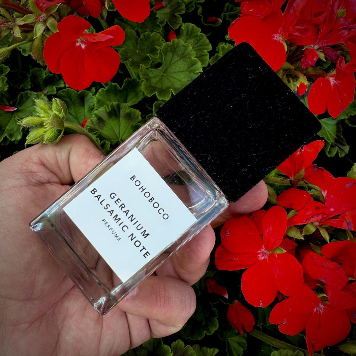 Geranium Balsamic Note Bohoboco perfume - a fragrance for women and men ...