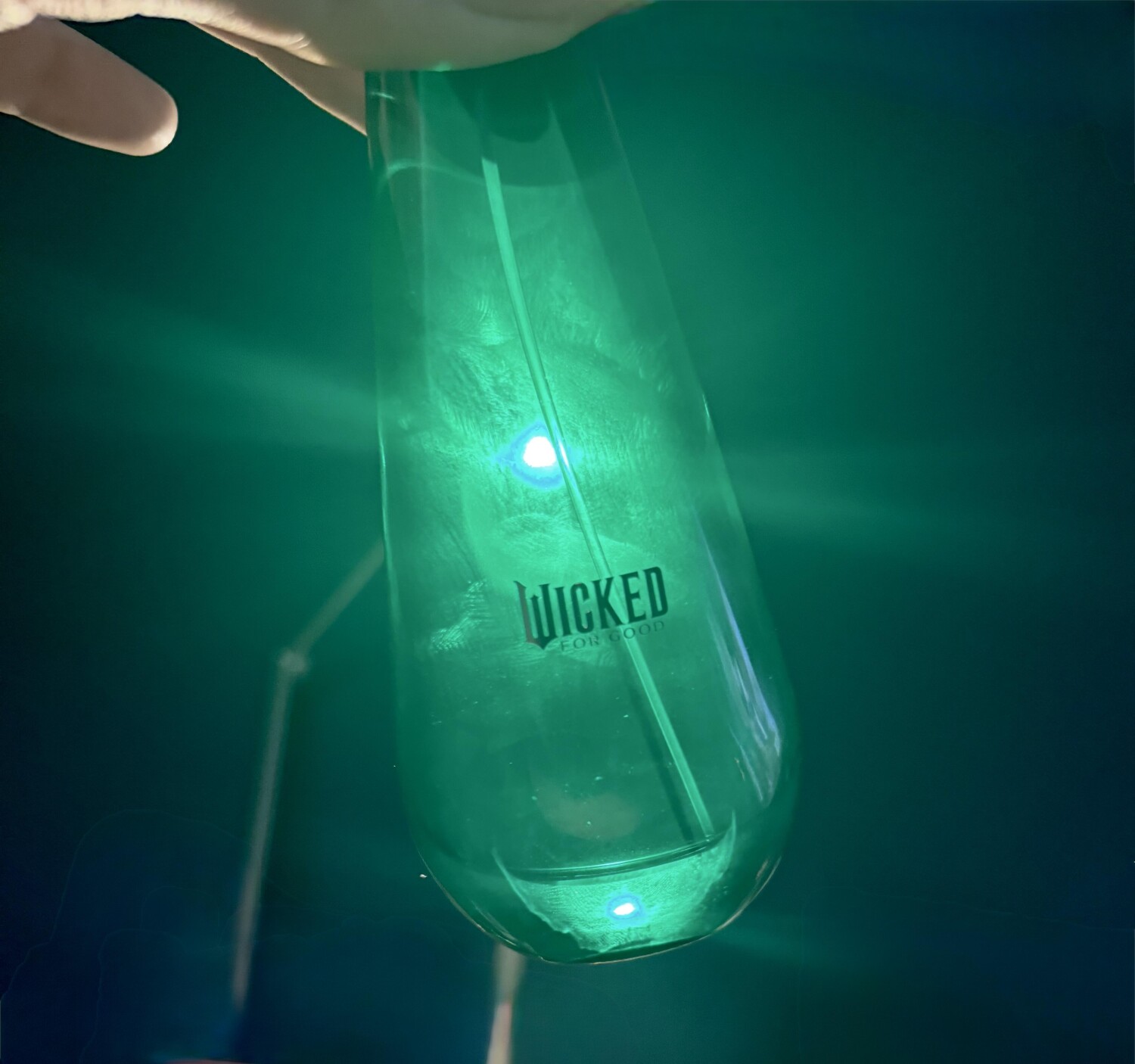 Wicked For Good – Elphaba Enchanted Ariana Grande perfume - a new ...